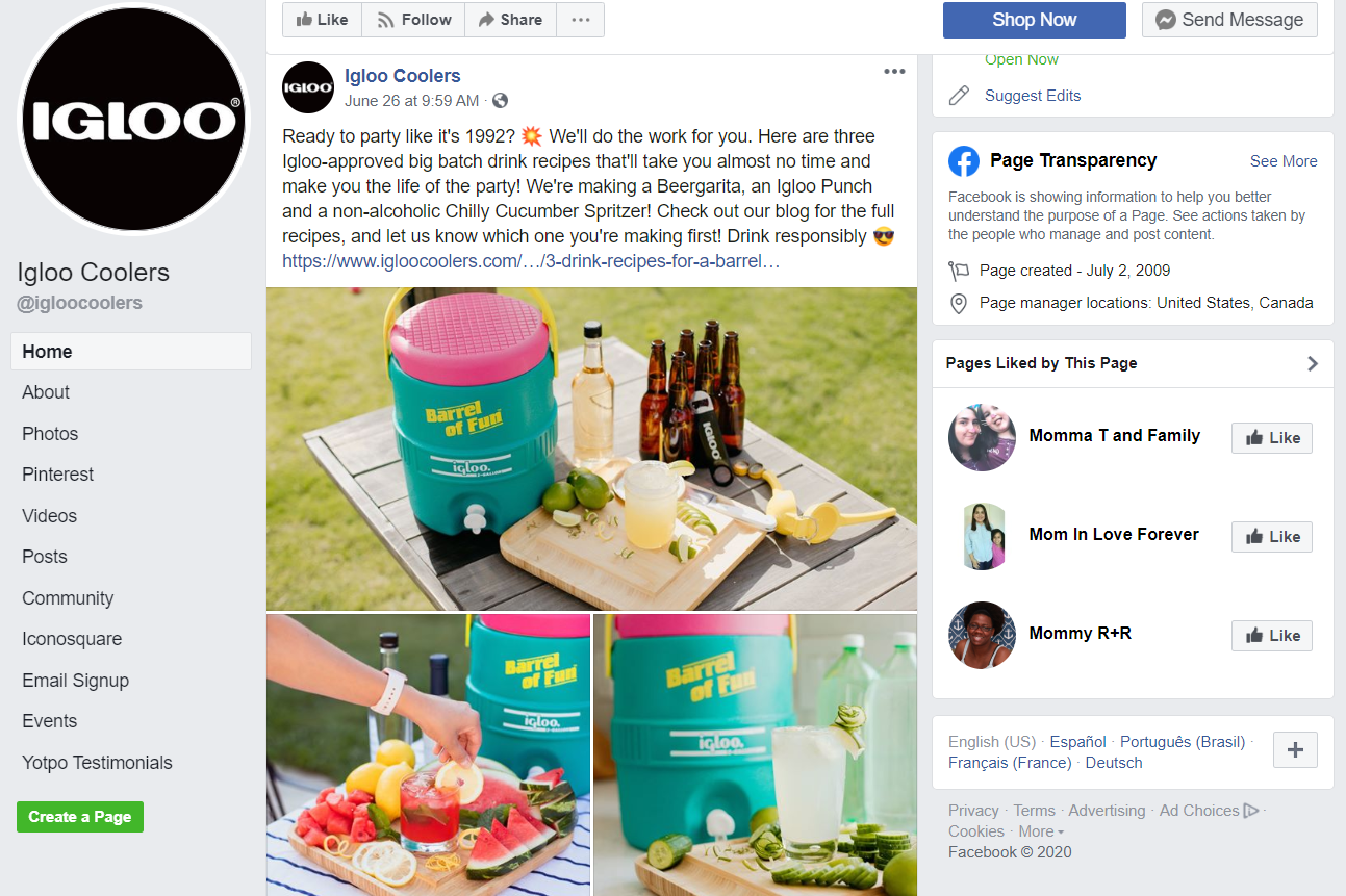 Igloo Coolers on Tradition and Trends: Marketing Campaign Review